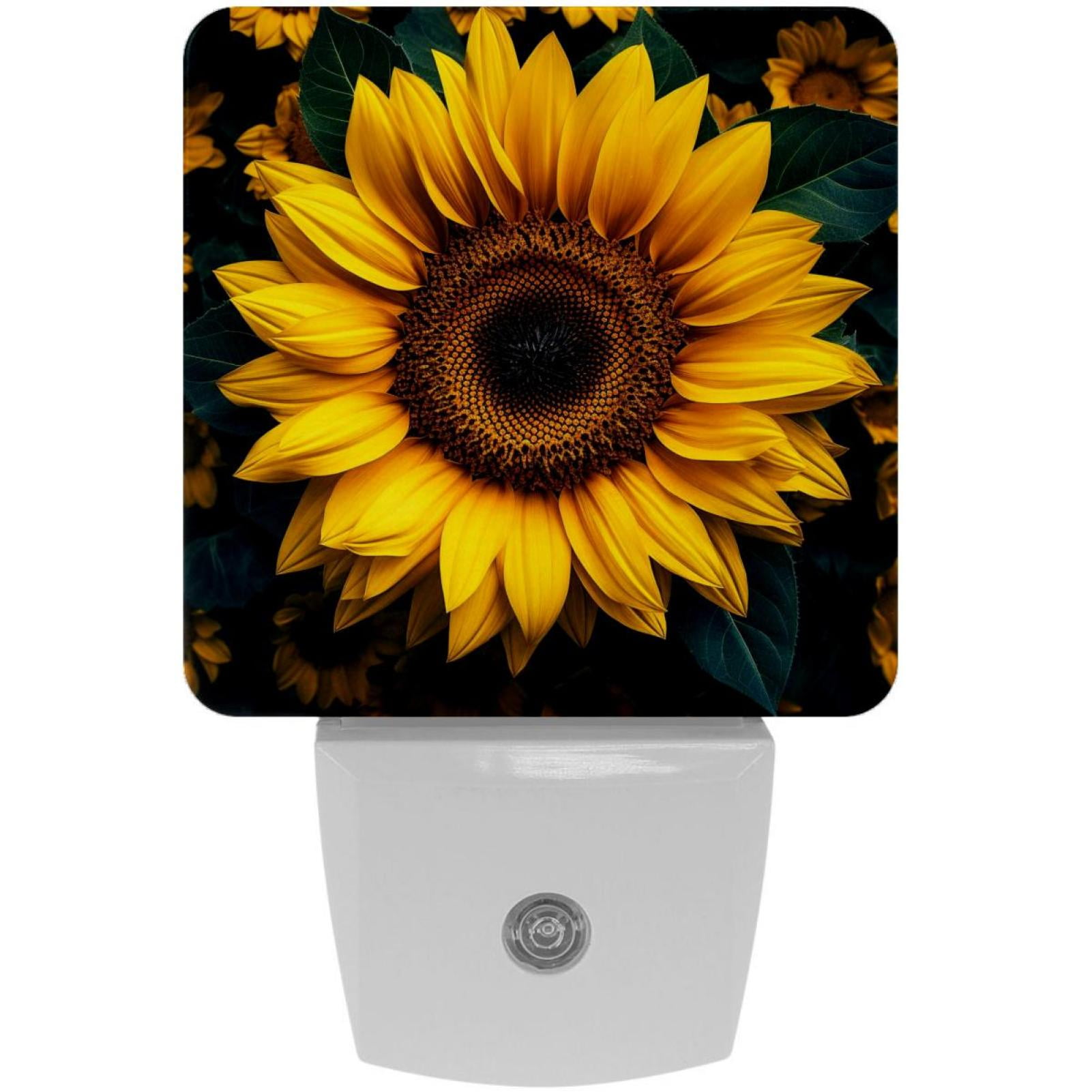 Sunflower LED Square Night Lights - Energy Efficient Bedside Lamp with ...