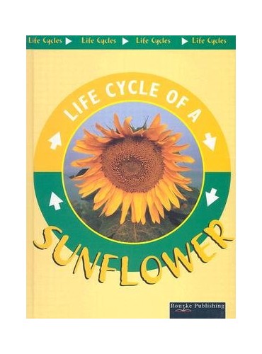 Pre-Owned Sunflower Life Cycles Library Binding Jason Cooper - Walmart.com