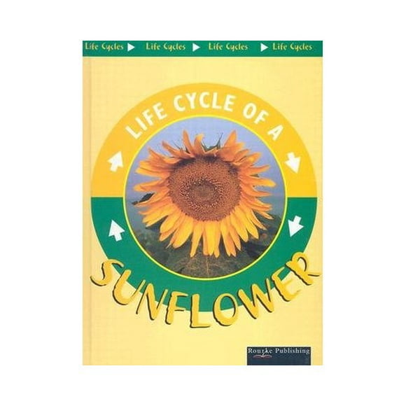Sunflower Life Cycle