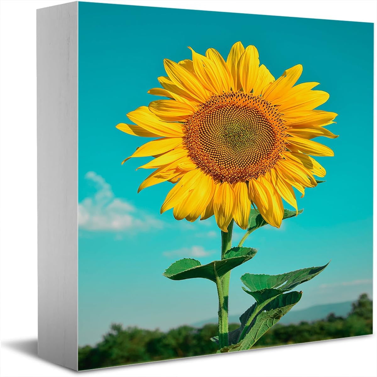 Sunflower Print Wood Block Plaque Box Signs Rustic Farmhouse Office ...