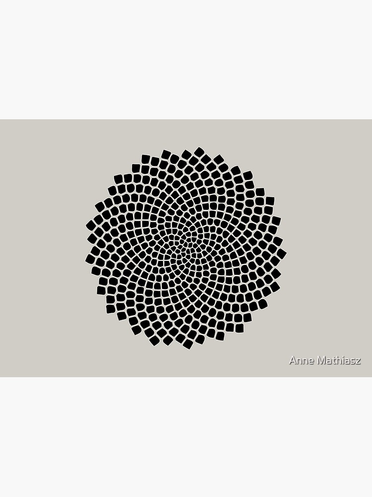 Sunflower, Seed, Fibonacci, Spiral, Golden Ratio, Phi, Math, Mandala ...