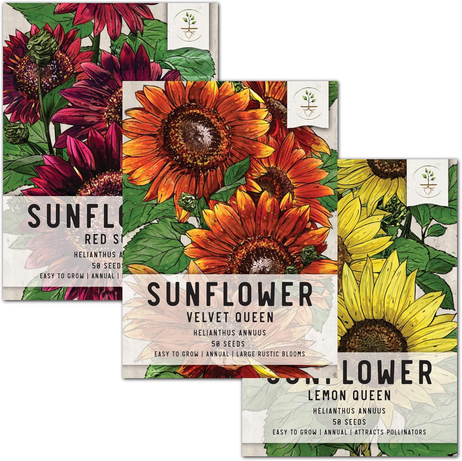, Sunflower Seed Packet Variety Collection (3 Individual Varieties for ...