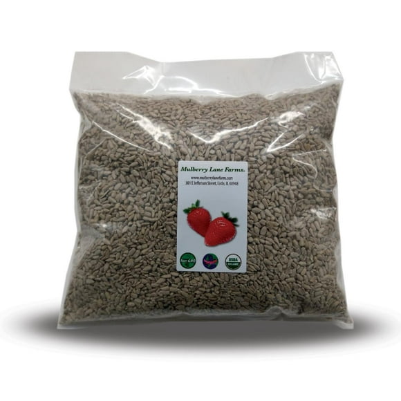 Sunflower Seeds Shelled