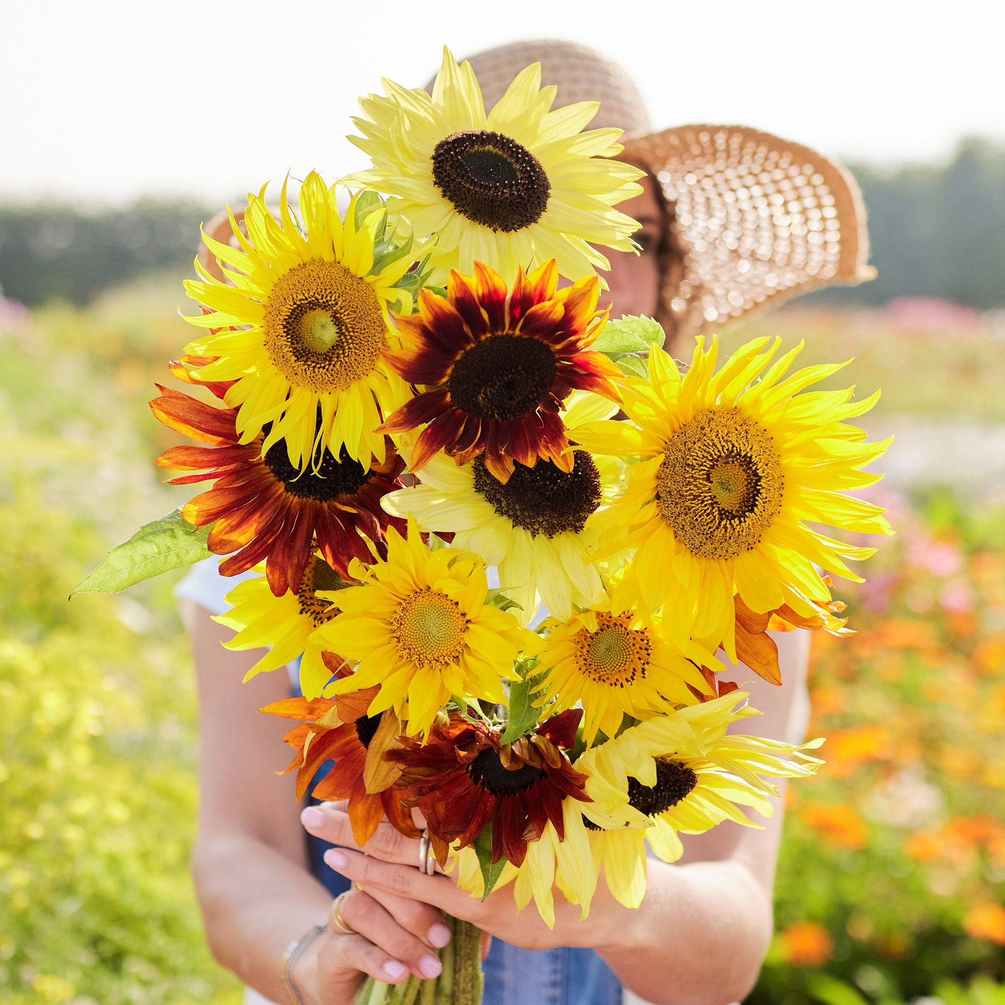 Eden Brothers Sunflower Seeds - Formula Mix - Walmart.com