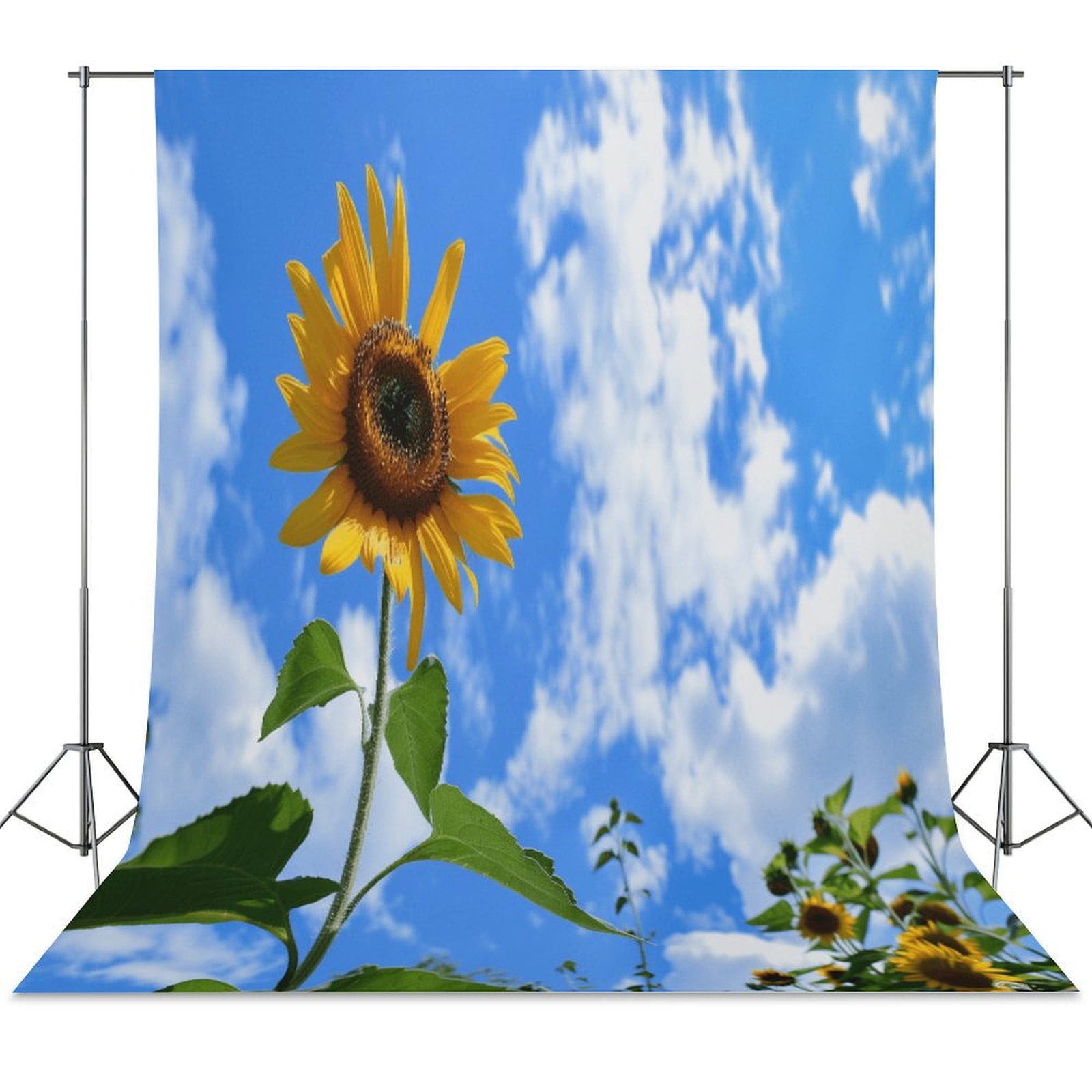 Sunflower Spring Wall Backdrop Background Floral Backdrops 5x7FT ...