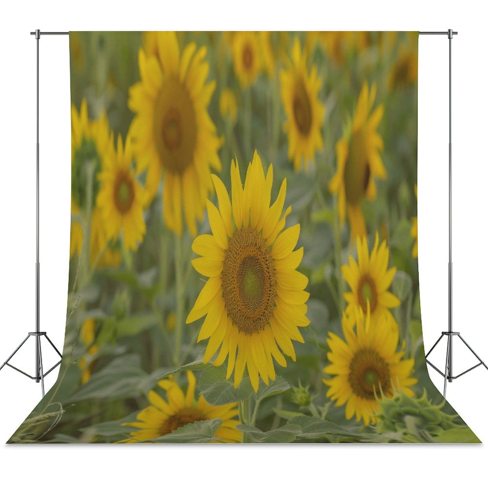 Sunflower Spring Wall Backdrop Background Floral Backdrops 5x7FT ...