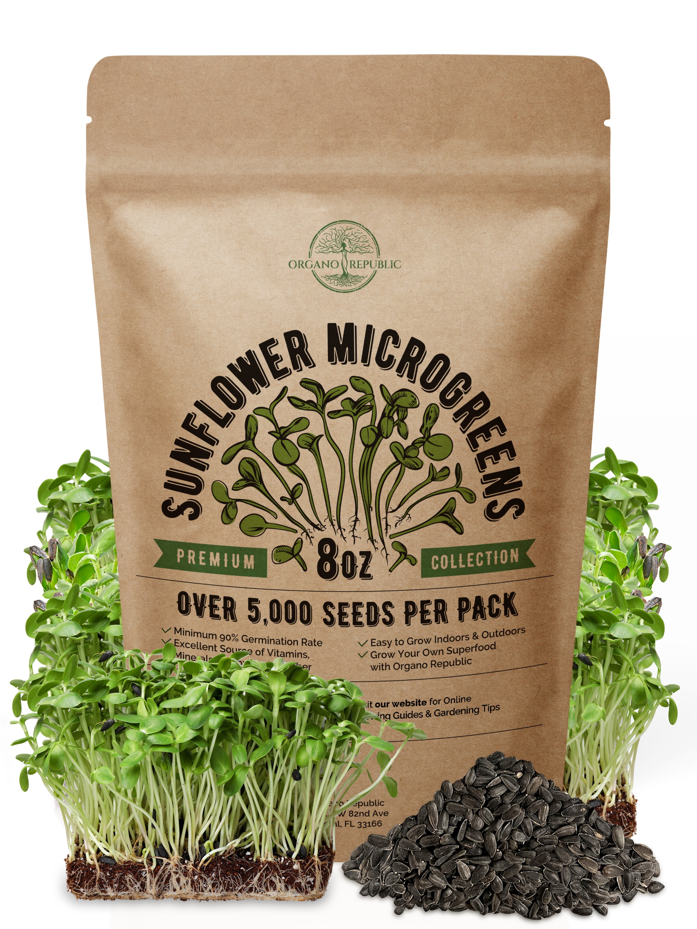 Sunflower Sprouting & Microgreens Seeds 8oz - Over 5 000 Non-GMO ...
