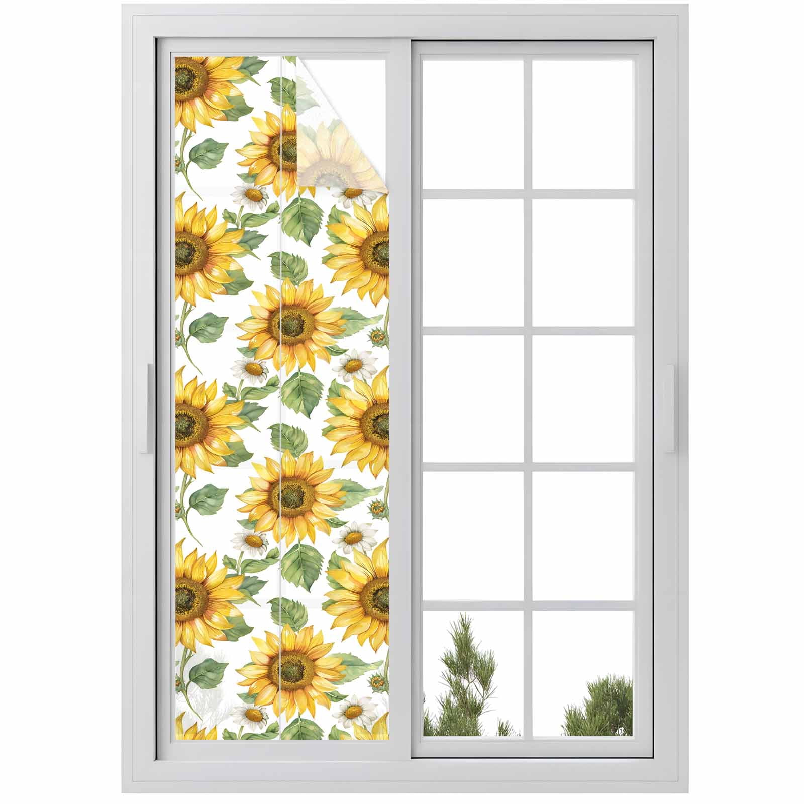 Sunflower Window Privacy Film, Farmhouse Watercolor Botanical Summer ...