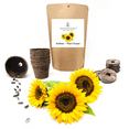Sunflower grow kit with sunspot dwarf sunflower seeds for planting ...
