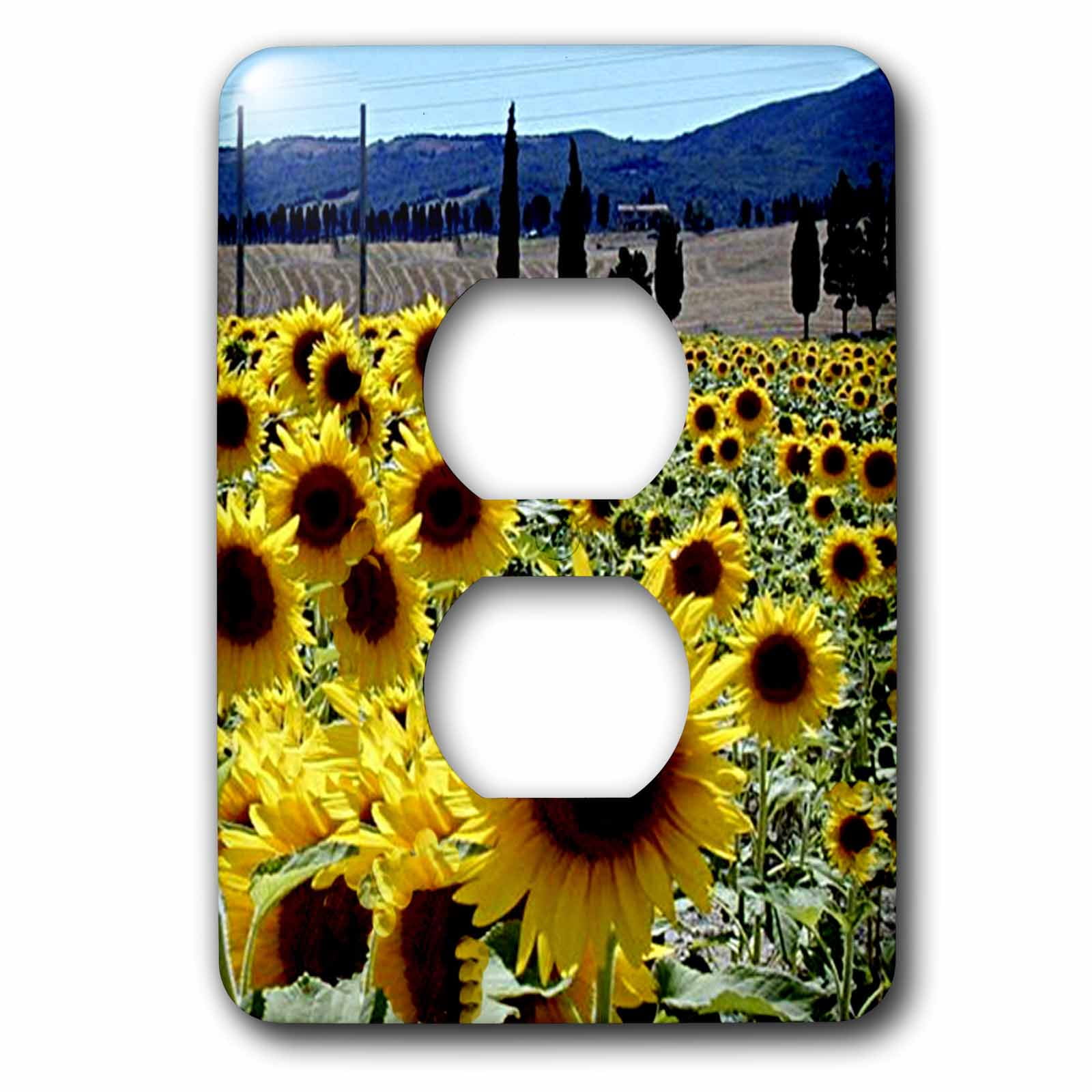3dRose, Sunflowers, 2 plug outlet cover - Walmart.com