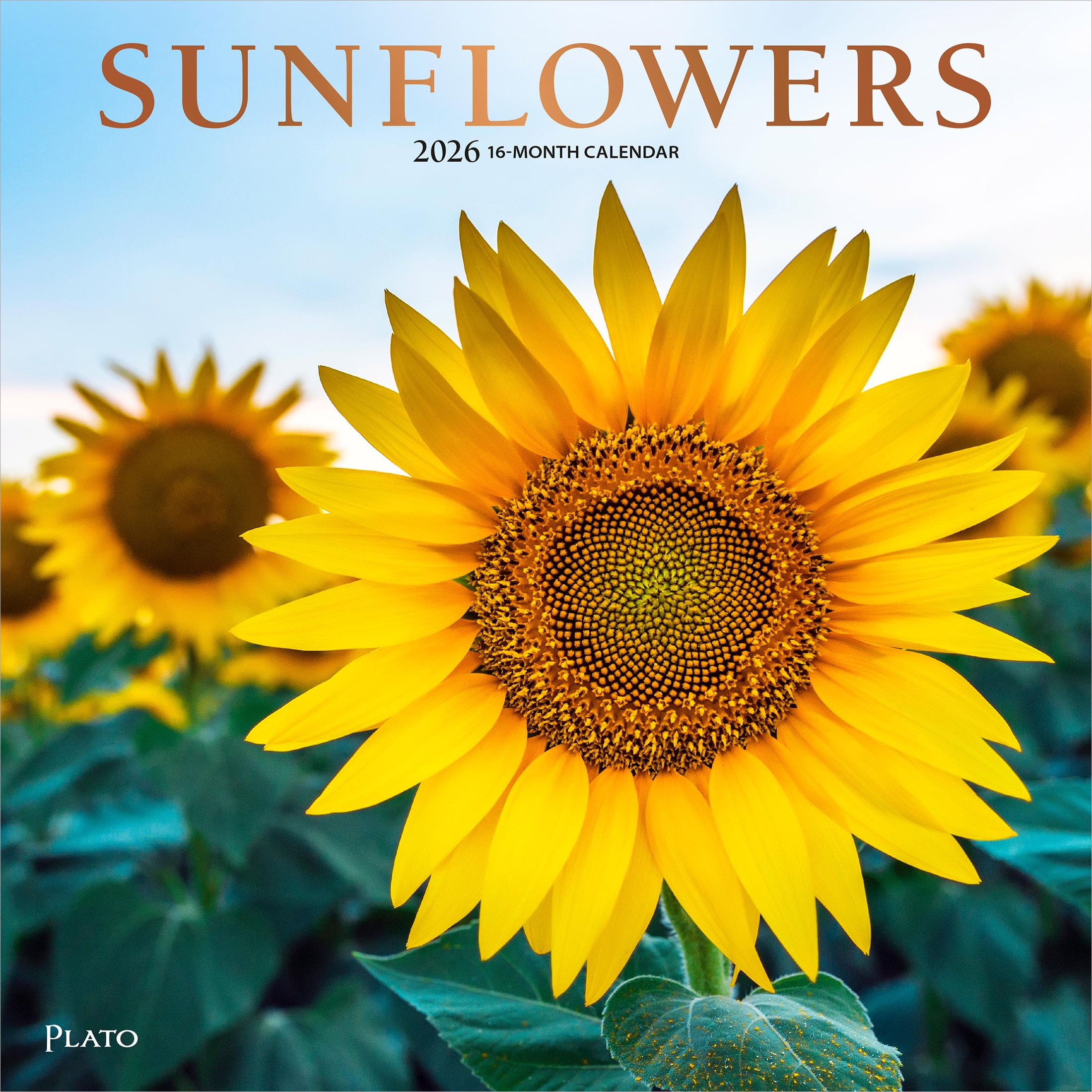 Sunflowers | 2026 12x24" (Hanging) Monthly Square Wall Calendar | Plato ...