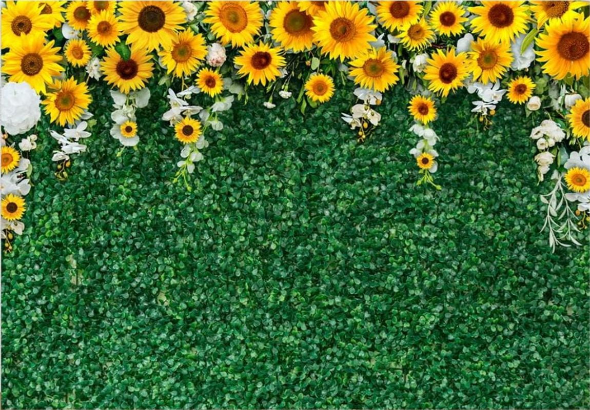 Sunflowers Birthday ration Background Custom Backdrop Party Photography ...