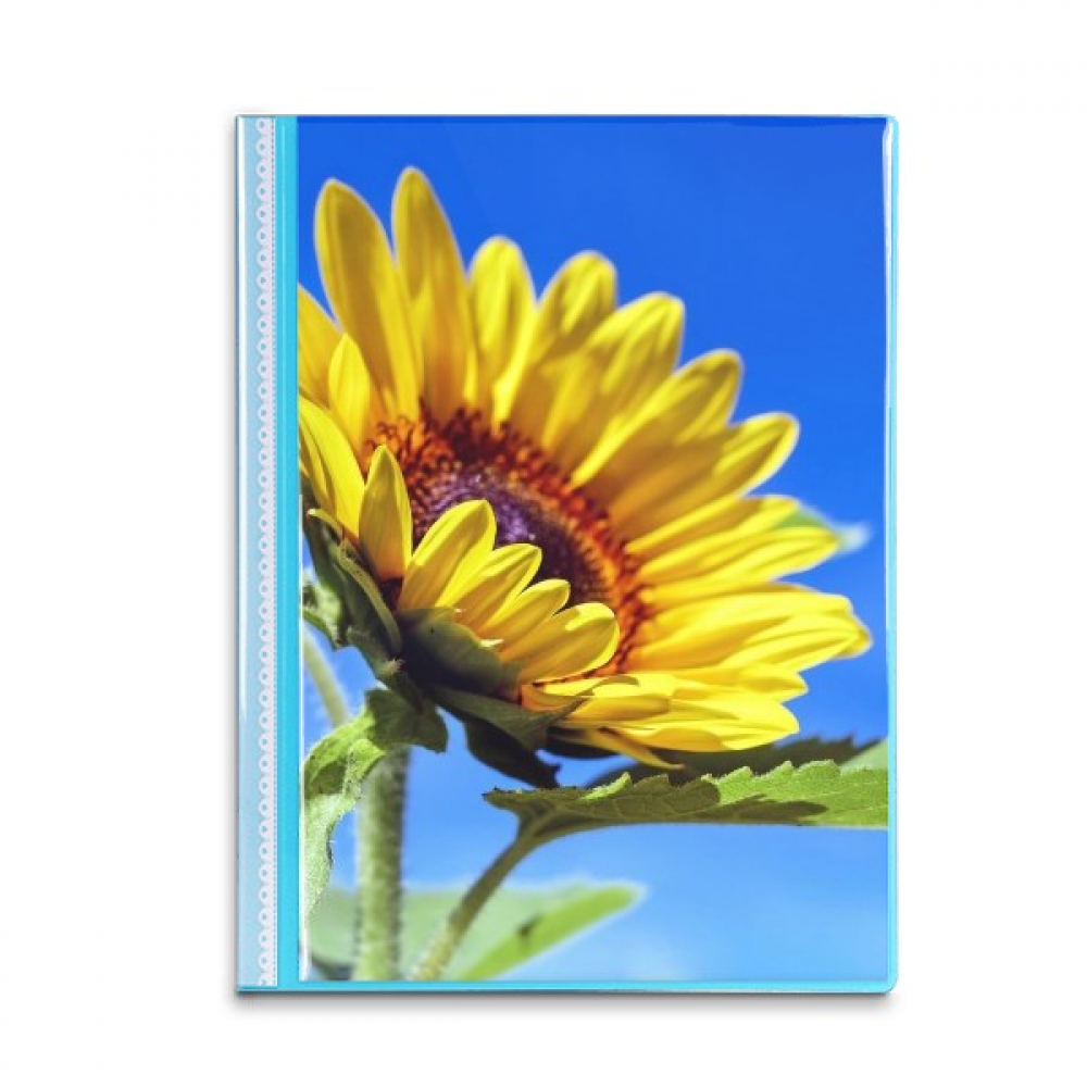Sunflowers Blue Sky Sunshine Flower Book Sheet Protectors Portfolio ...