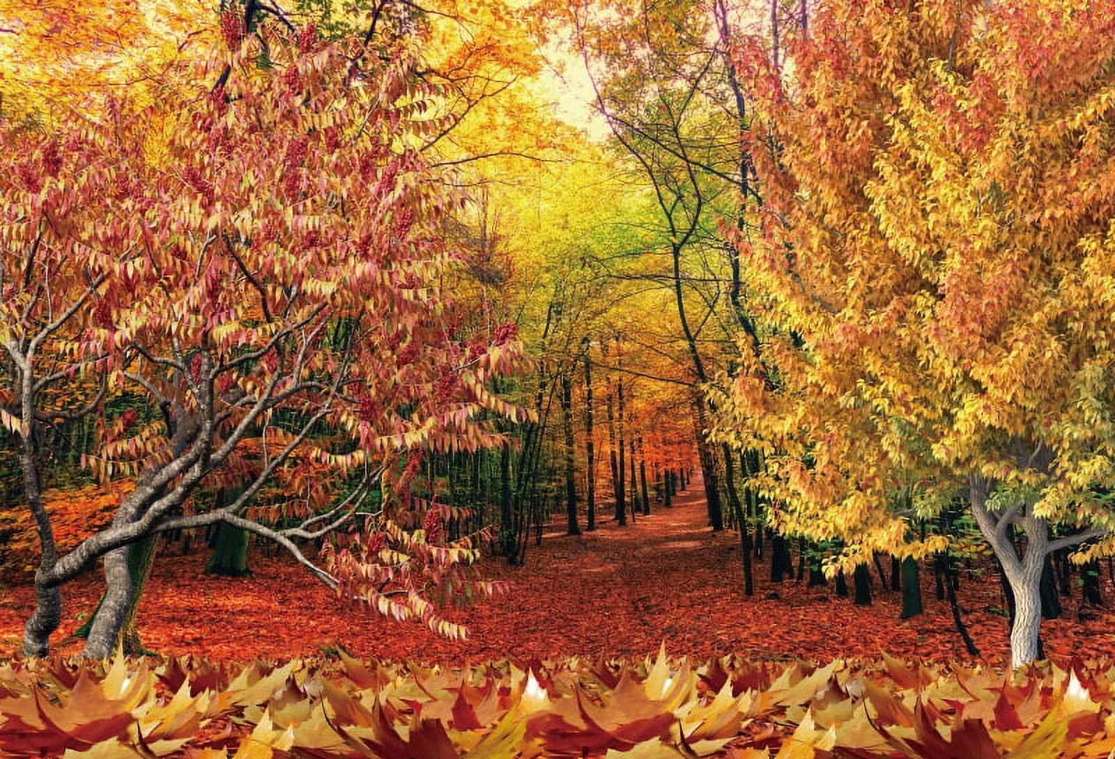 Sunflowers Field Photography Backdrop Rustic Sunset Yellow Florals Sky ...