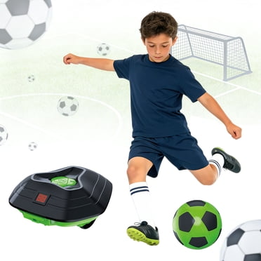 VTech Electronic Pets for Indoor Playground Engagement - Walmart ...