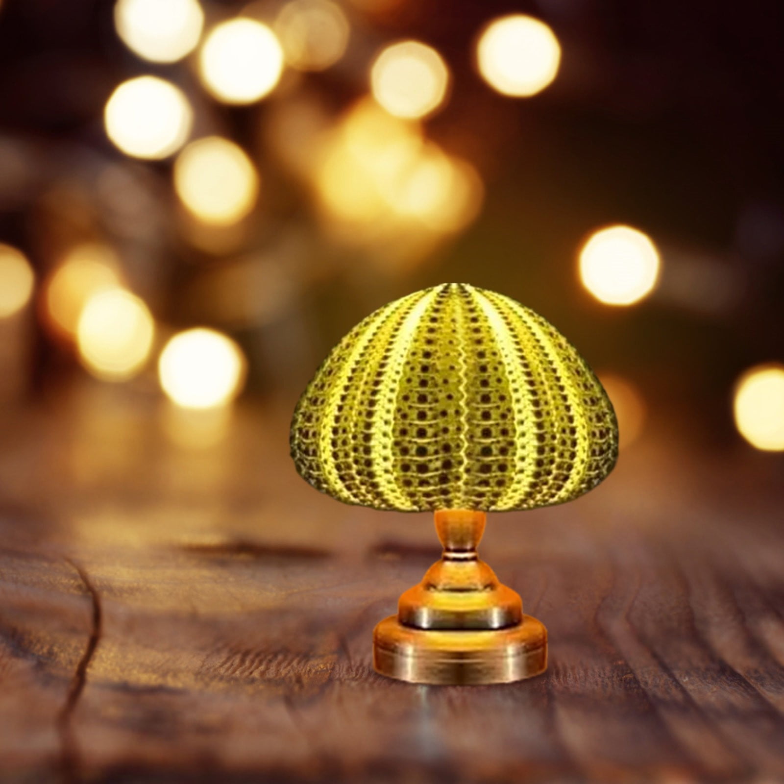 Sunggoko DIY Sea Urchin Night Light Creative Beach Themed Sea Urchin ...