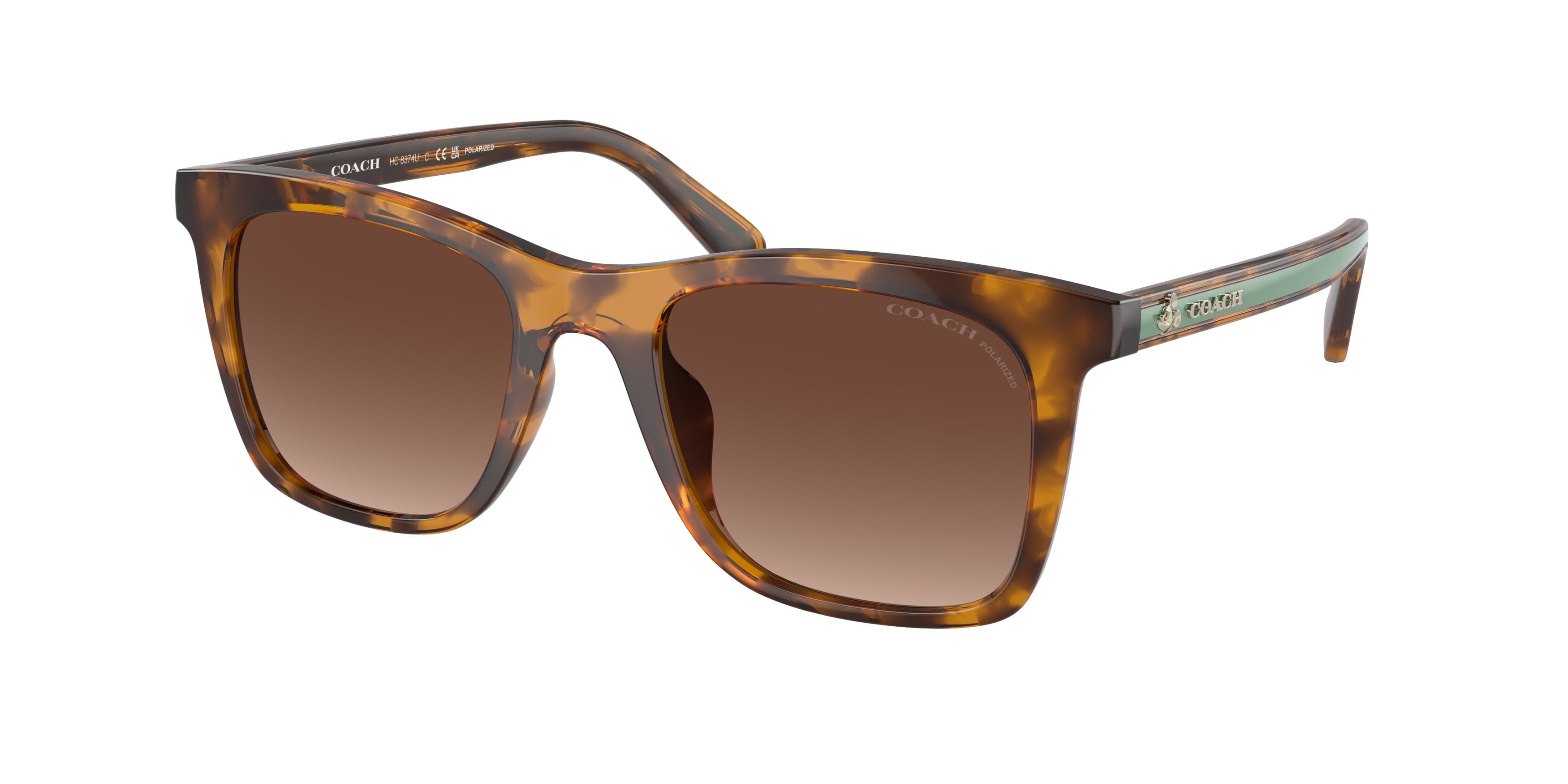 Sunglasses Coach HC 8374 U 5120T5 Ch561 Dark Tortoise Brown Grad ...