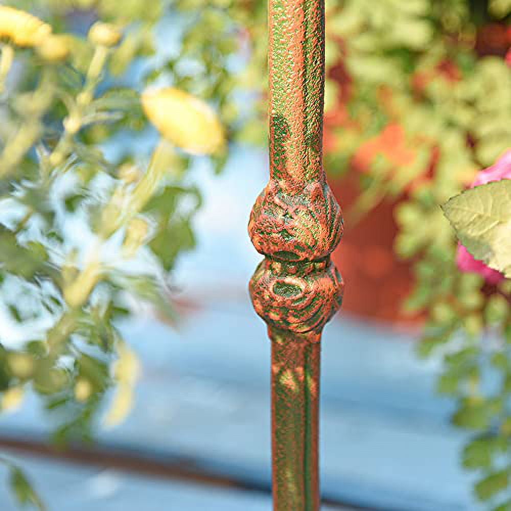 Sungmor Antique Cast Iron Little Bird Bath, Lifelike Dragonfly Design ...