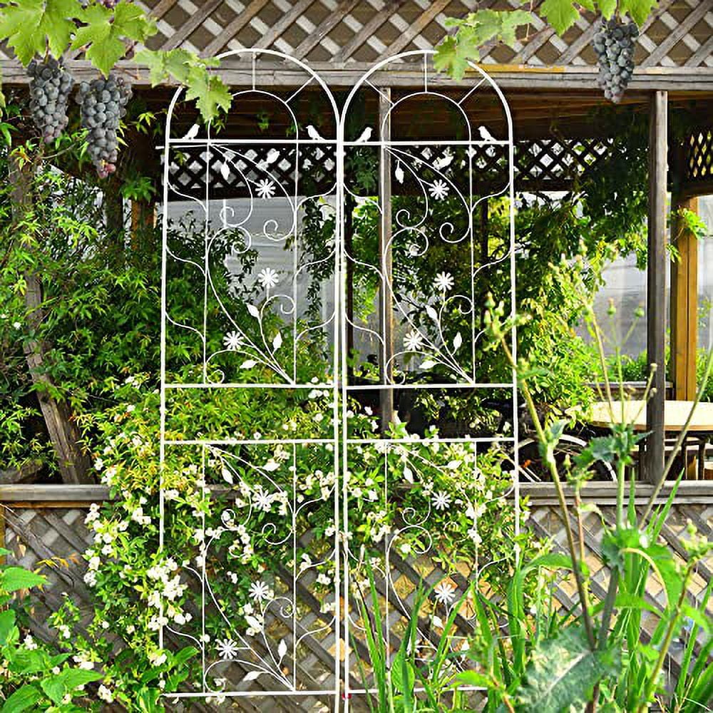 Sungmor Metal Trellises for Climbing Plants, Overall 20 Inch Width & 82 ...