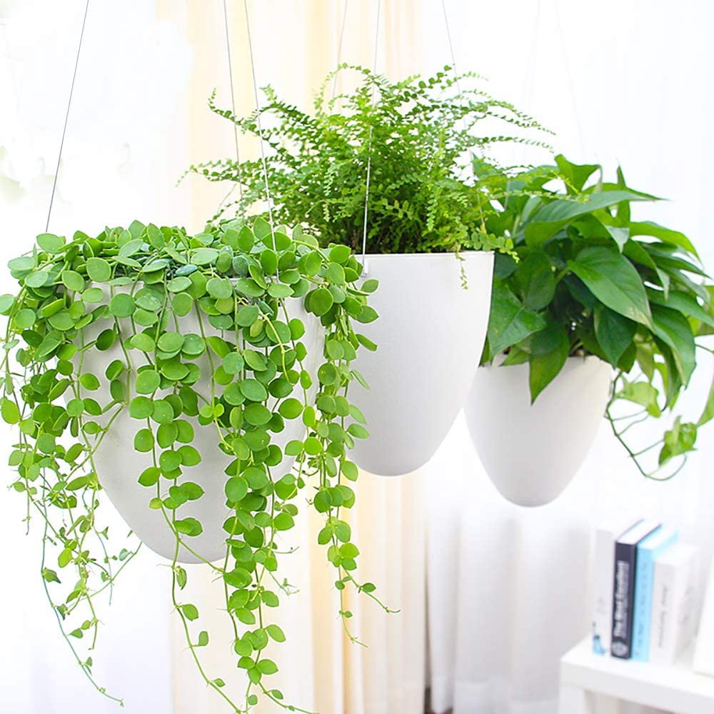 Sungmor Unique Eggshell Self Watering Hanging Planters, 3PC Modern ...
