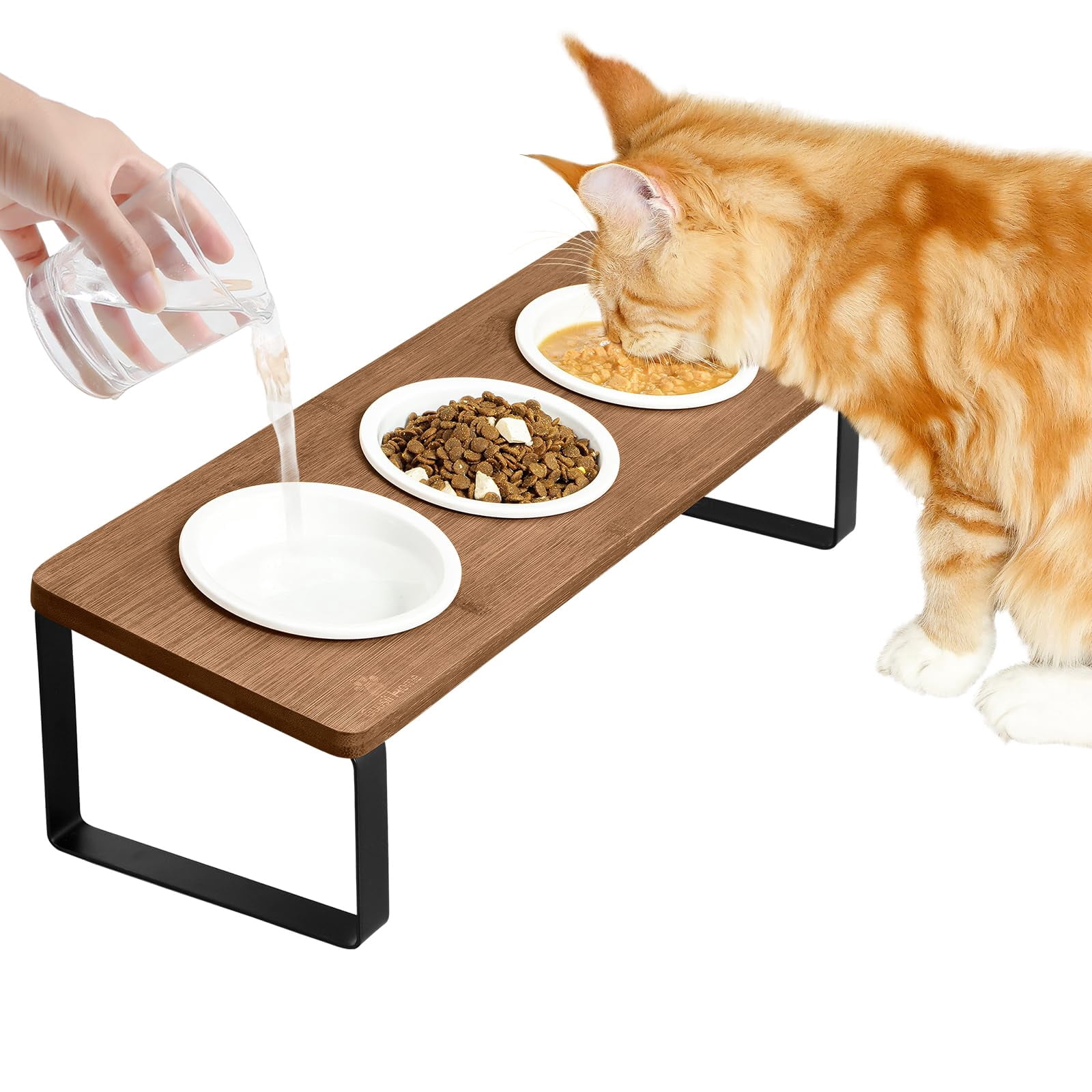 Sunhoo Raised Cat Food IRF13 Water Bowl Elevated Tilted Kitty Dishes ...