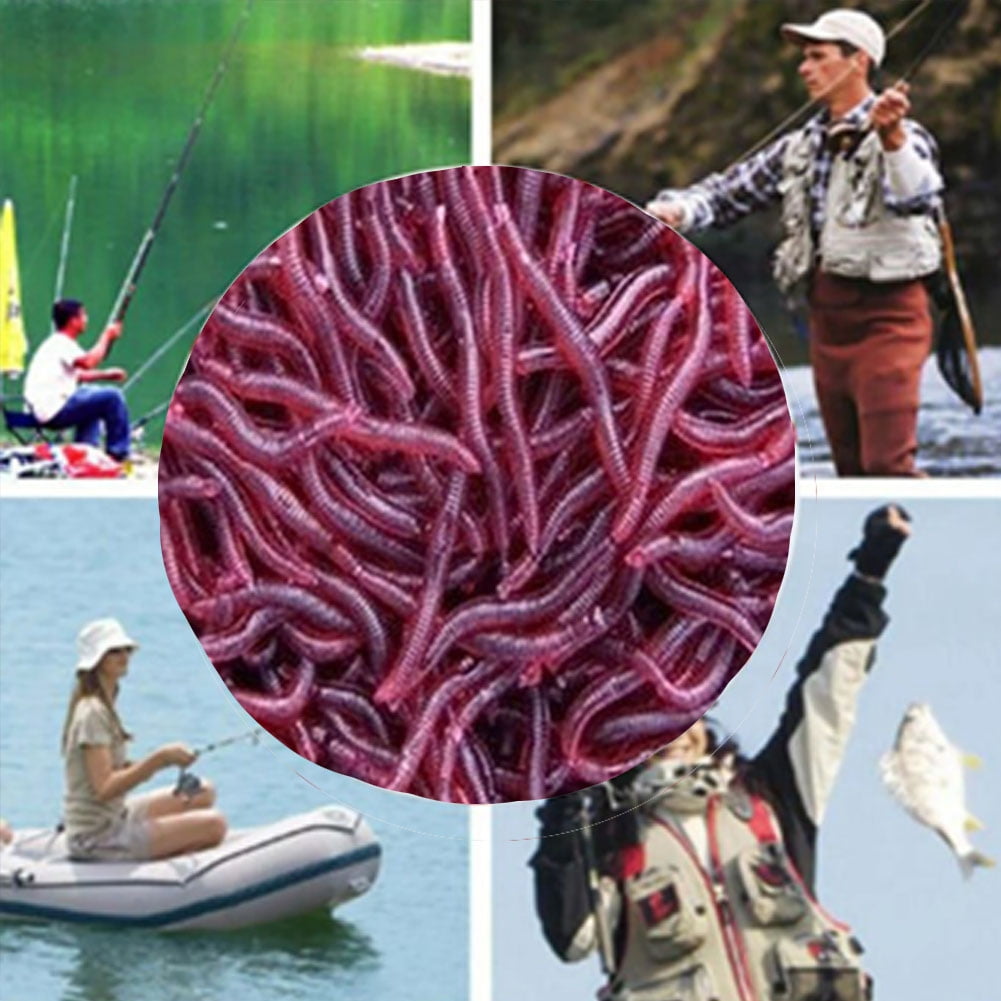 Sunjoy Tech 100Pcs Rubber Artificial Lifelike Earthworm Lures,Red Worm ...