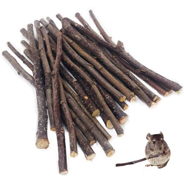 Parrot Toy Standing Pole Multifunction Wooden Platform for Small ...