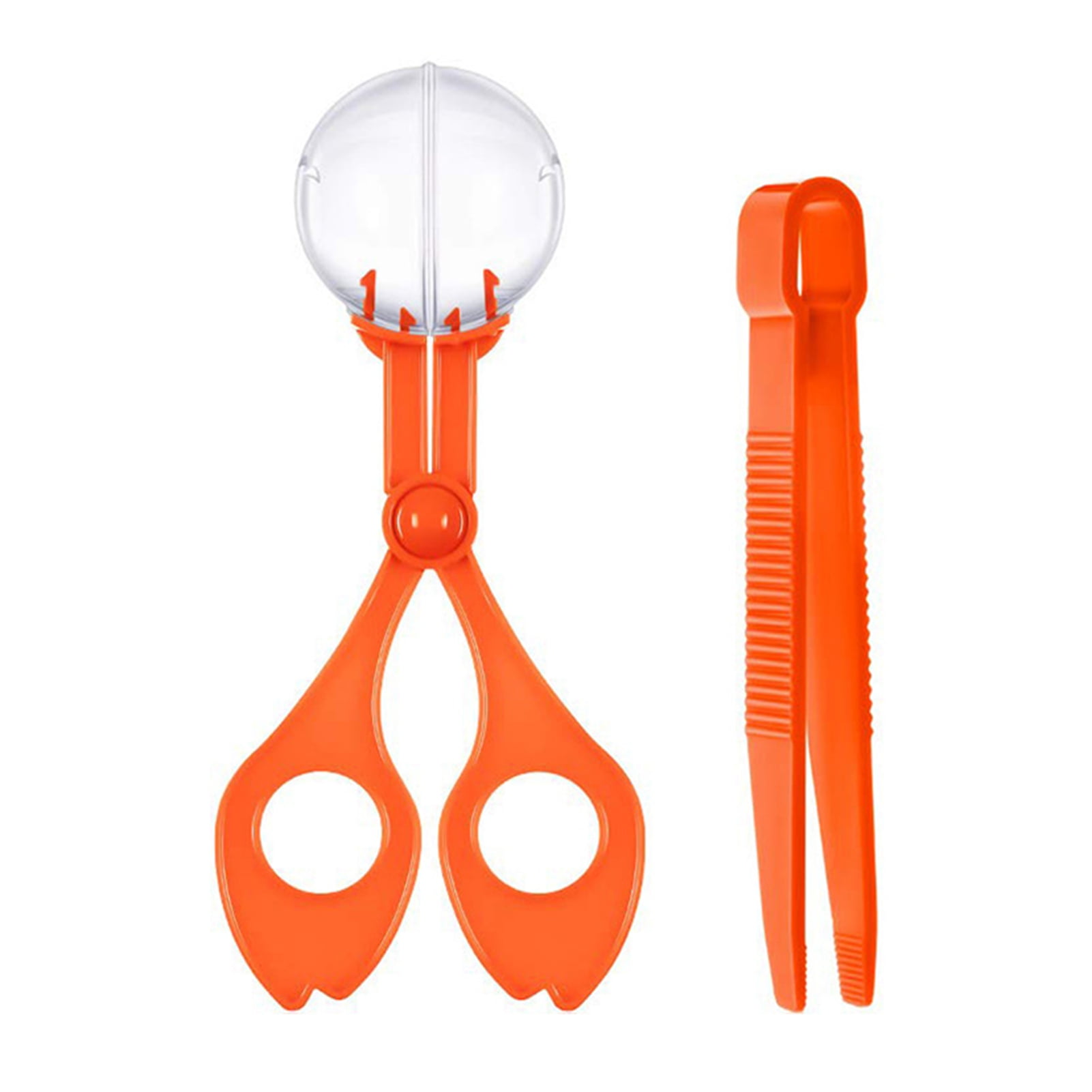 Sunjoy Tech Nature Exploration Toy Skill Development Hand-eye ...