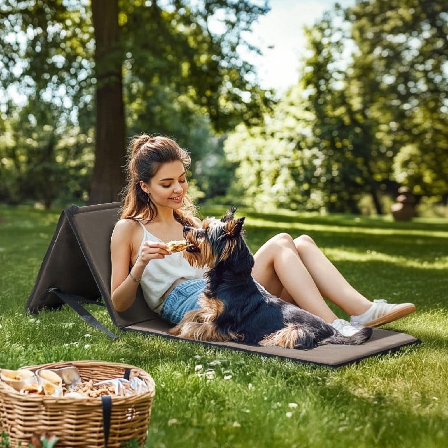 Sunjoy Portable Folding Backrest Chair for Camping Hiking Travel ...