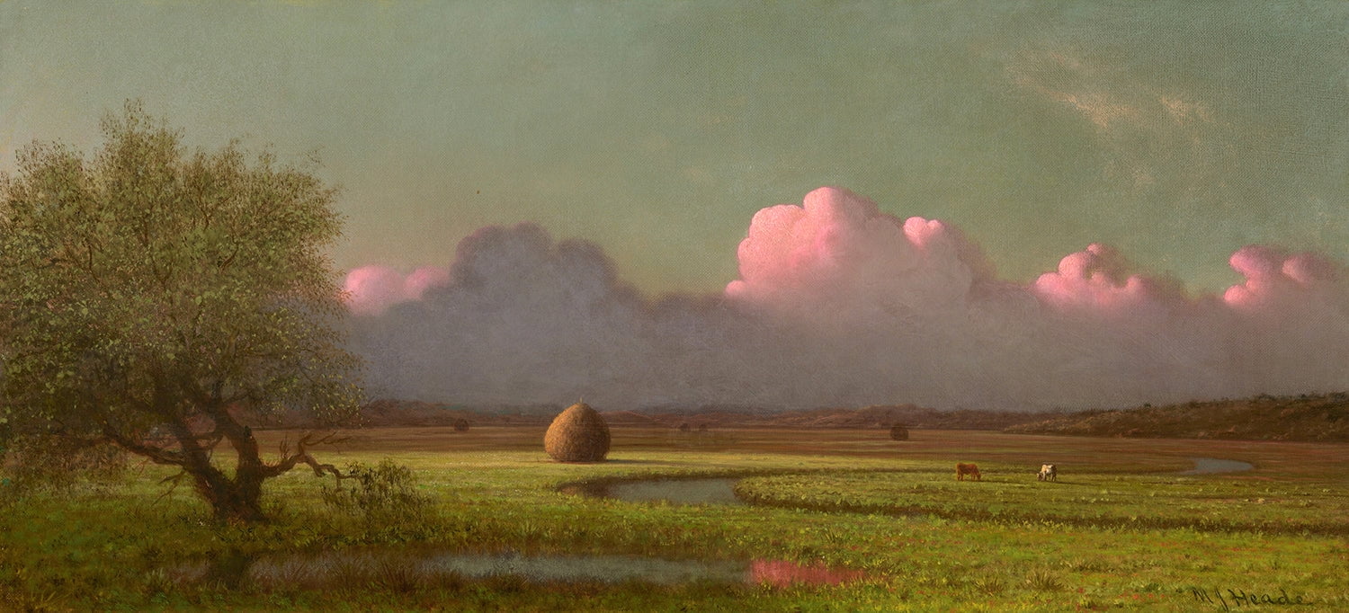 Sunlight and Shadow: The Newbury Marshes by Martin Johnson Heade - 12 ...