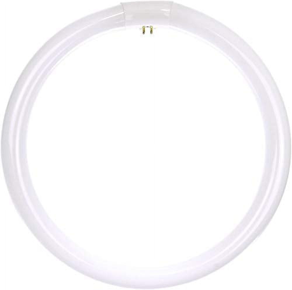 Sunlite 41315-SU FC12T9/CW Circline Fluorescent Lamps, 12-Inch Size, 32 ...