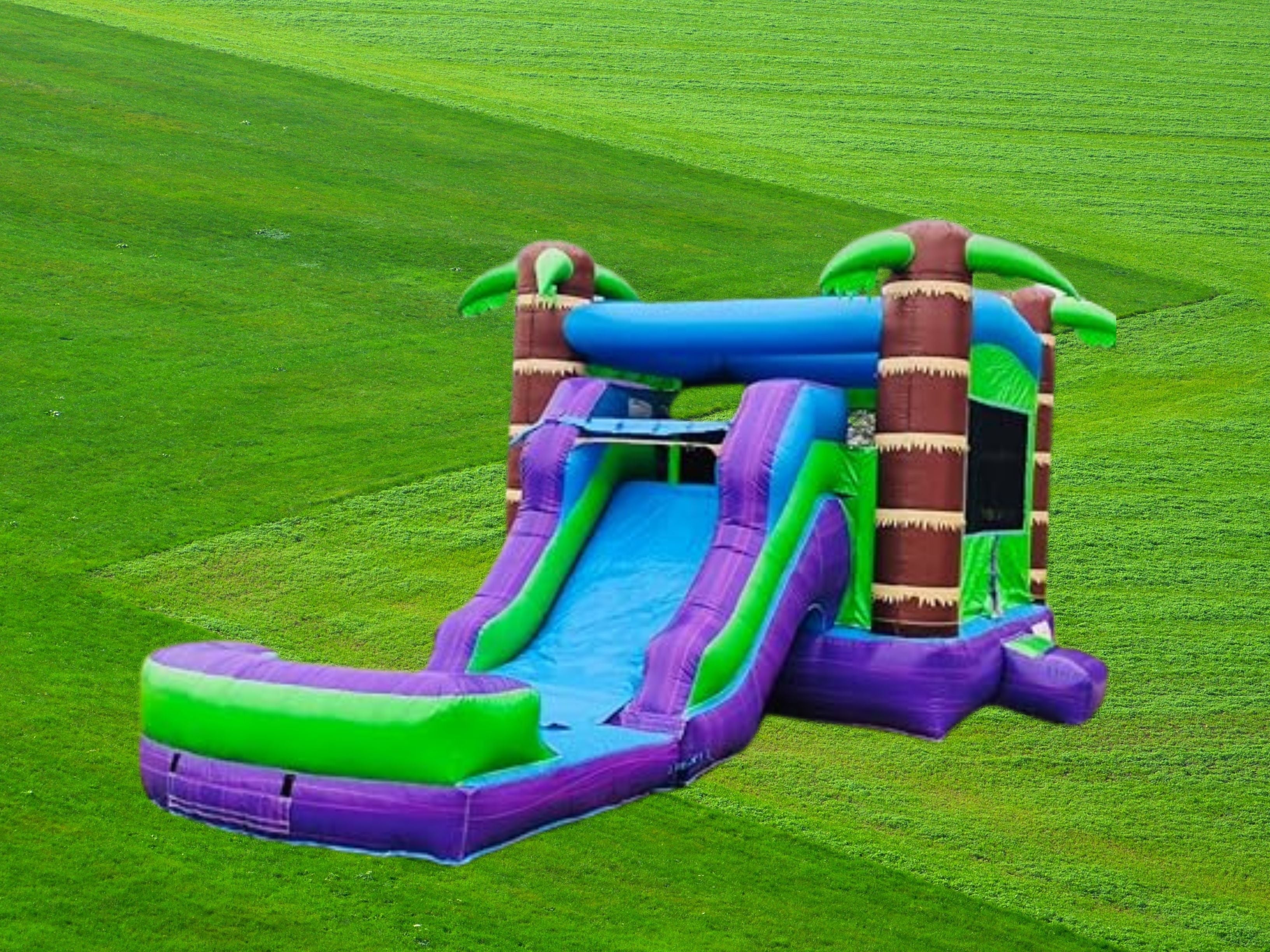 SunnFun Inflatables Commercial Inflatable Purple Tropical Combo Bounce ...