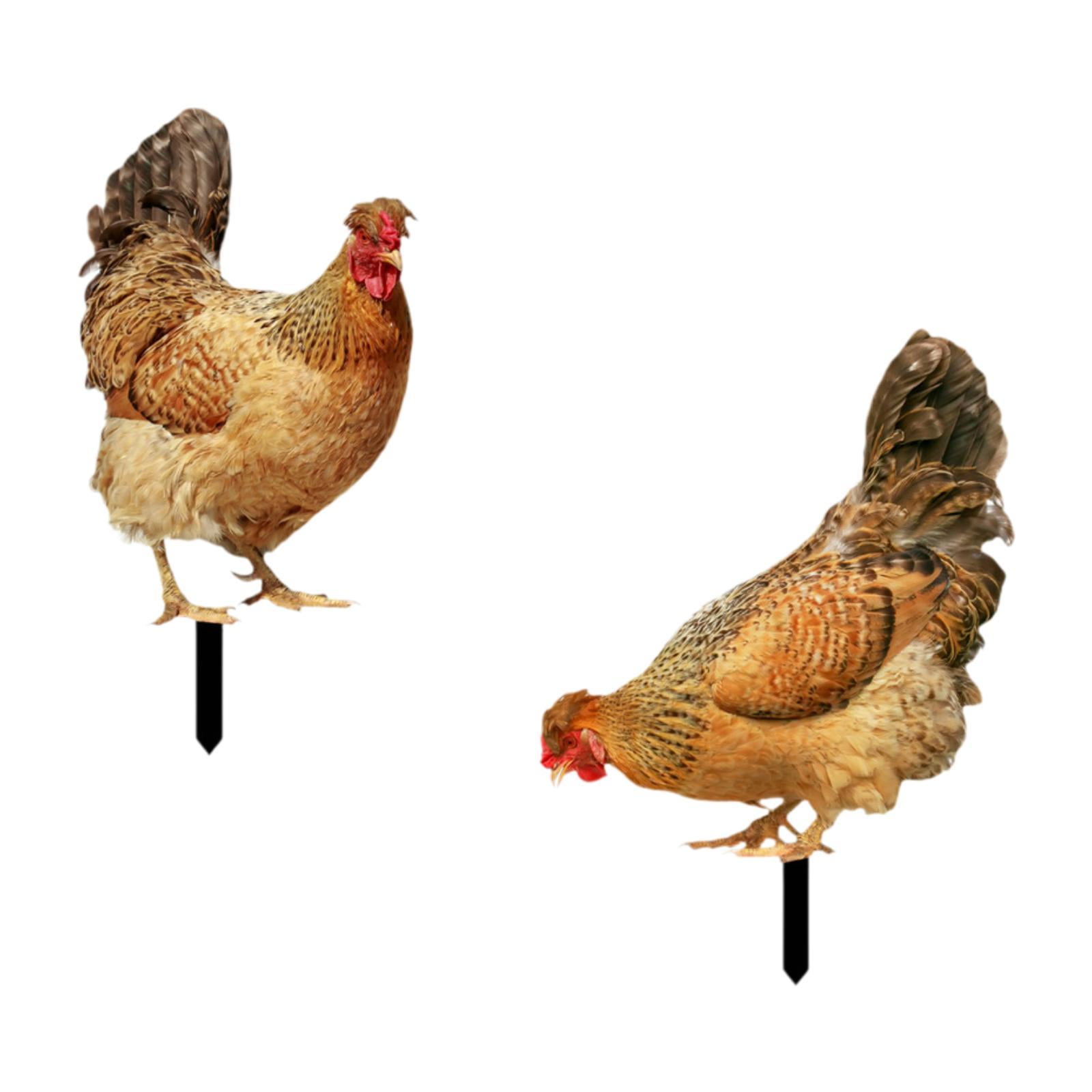 SunniMix Decorative Hen Garden Stakes Decorative Hen Statue for Spring ...