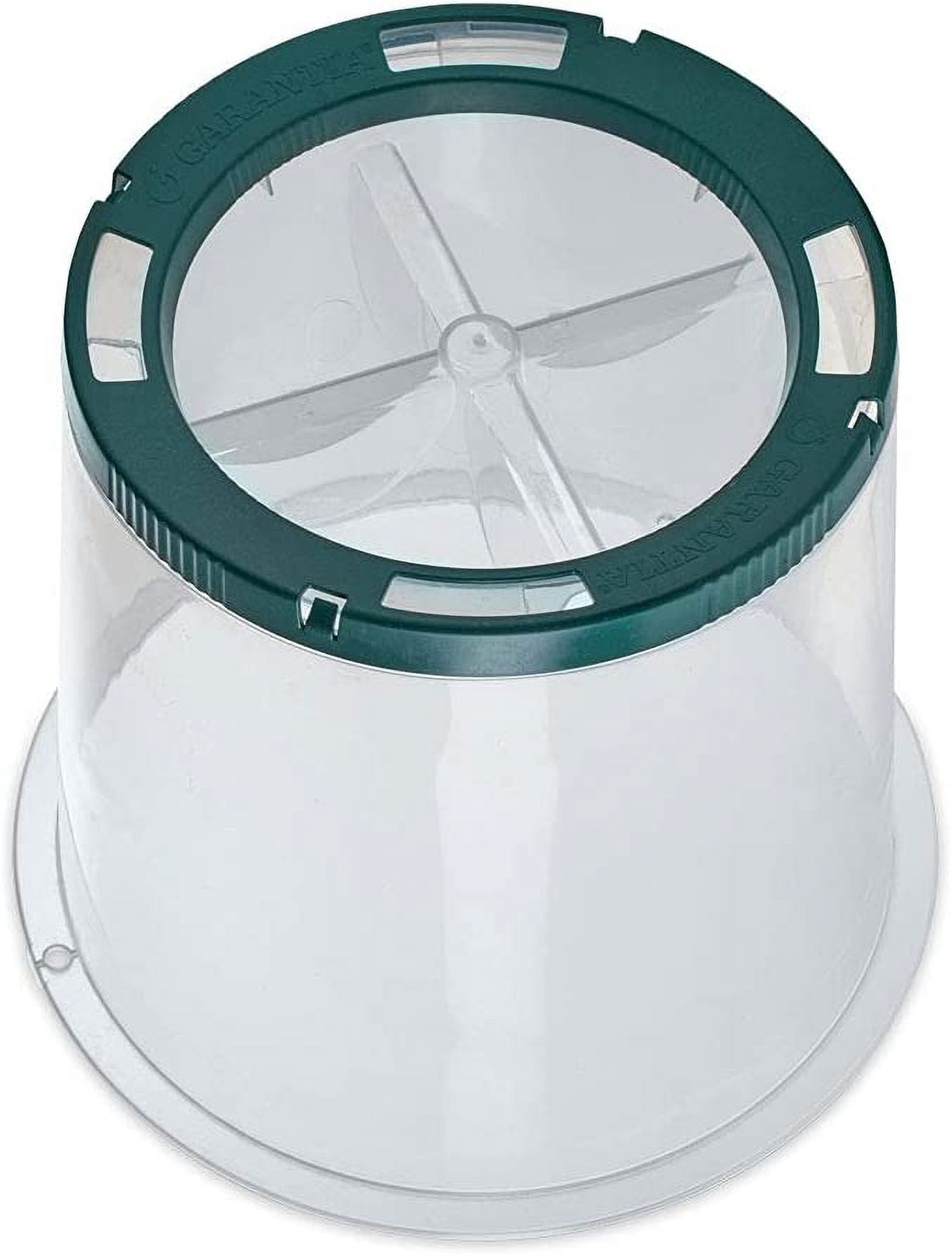 Sunny Forcing Cloches Set of 3 - Walmart.com
