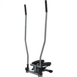Sunny Health & Fitness SF-S1403 Dual Action Swivel Stepper Step Machine ...