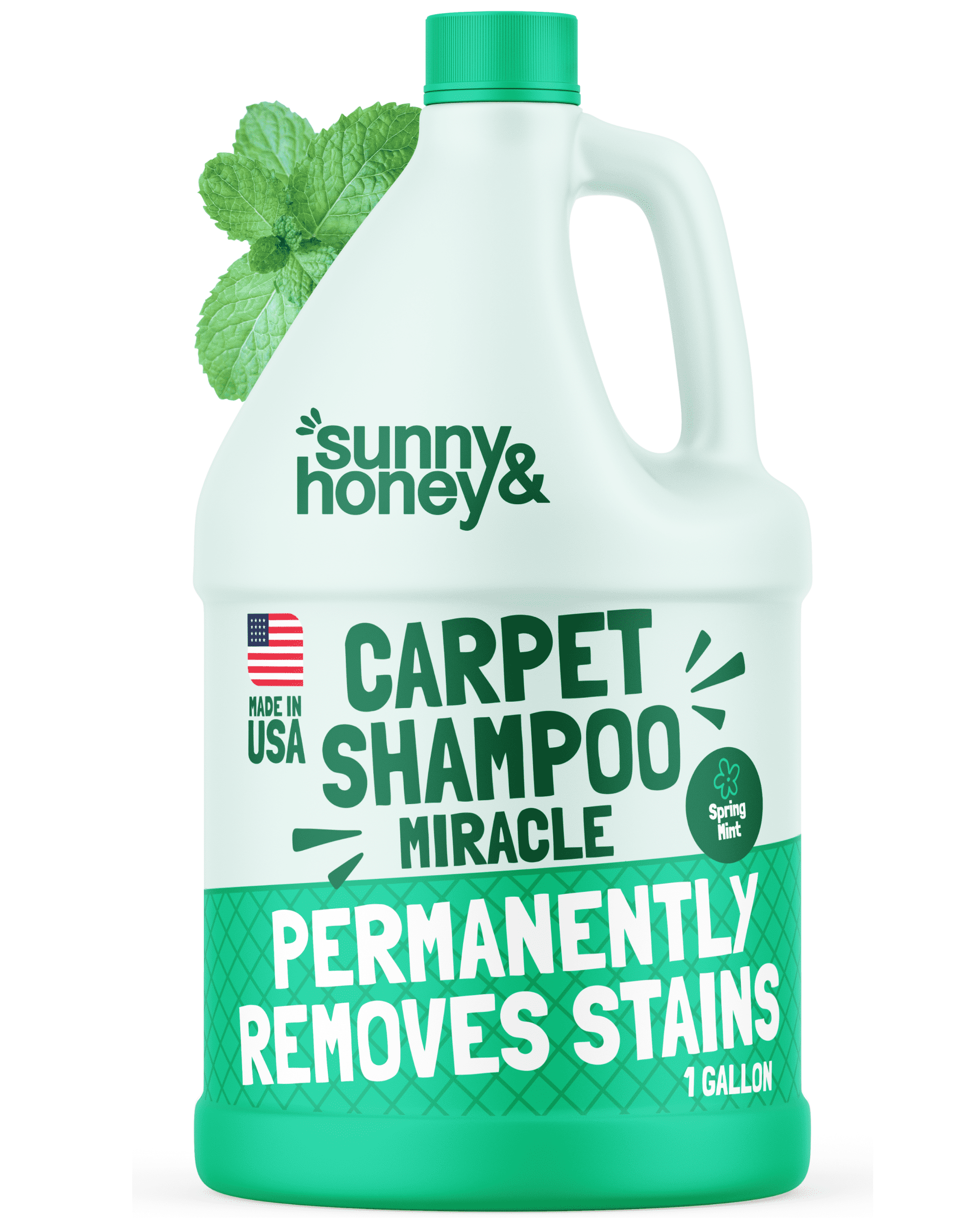 Sunny & Honey Heavy Duty Carpet Cleaner Solution, 32fl oz - Walmart.com