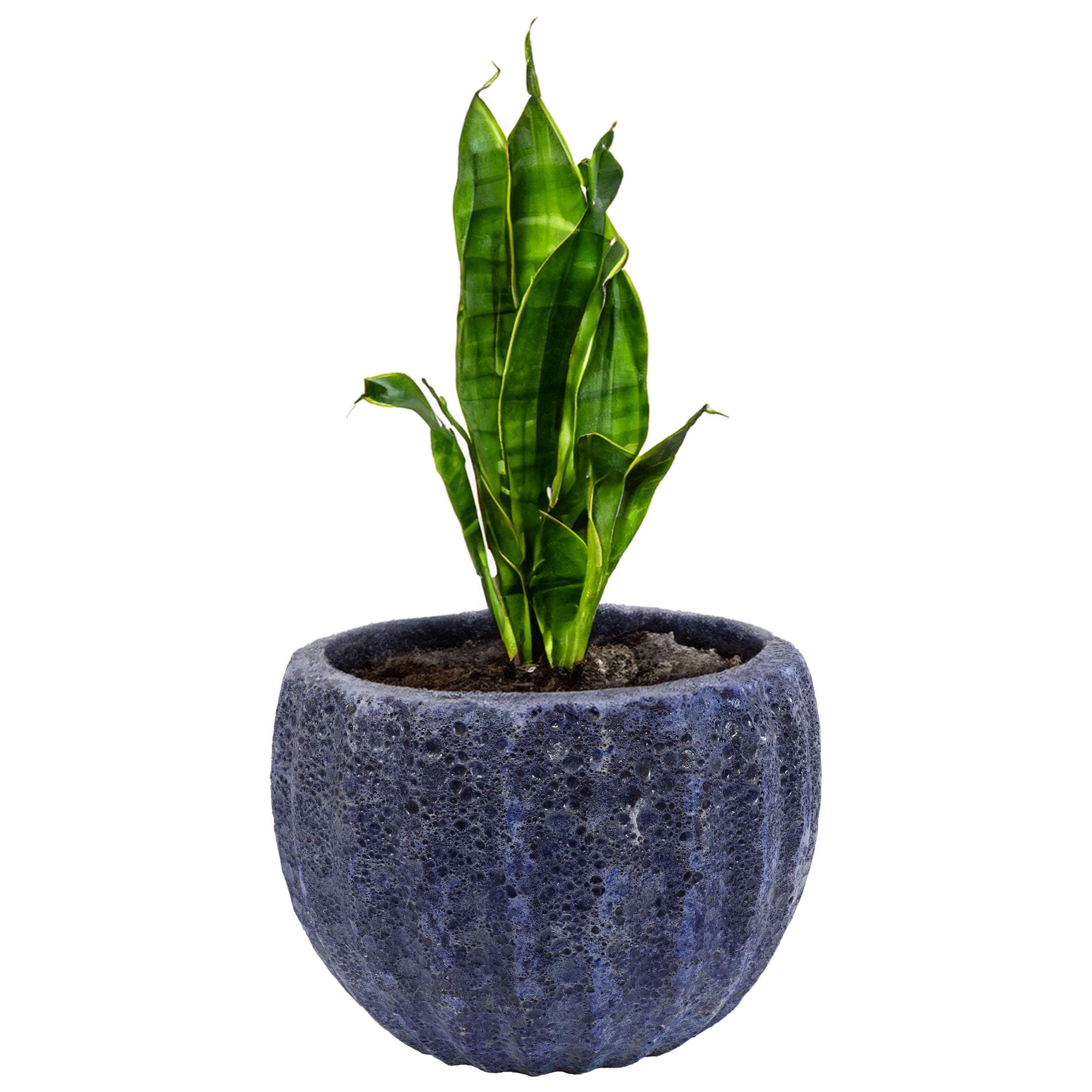 Sunnydaze 13.5" x 13.5" x 11" Round Dark Blue Lava Finish Ceramic ...