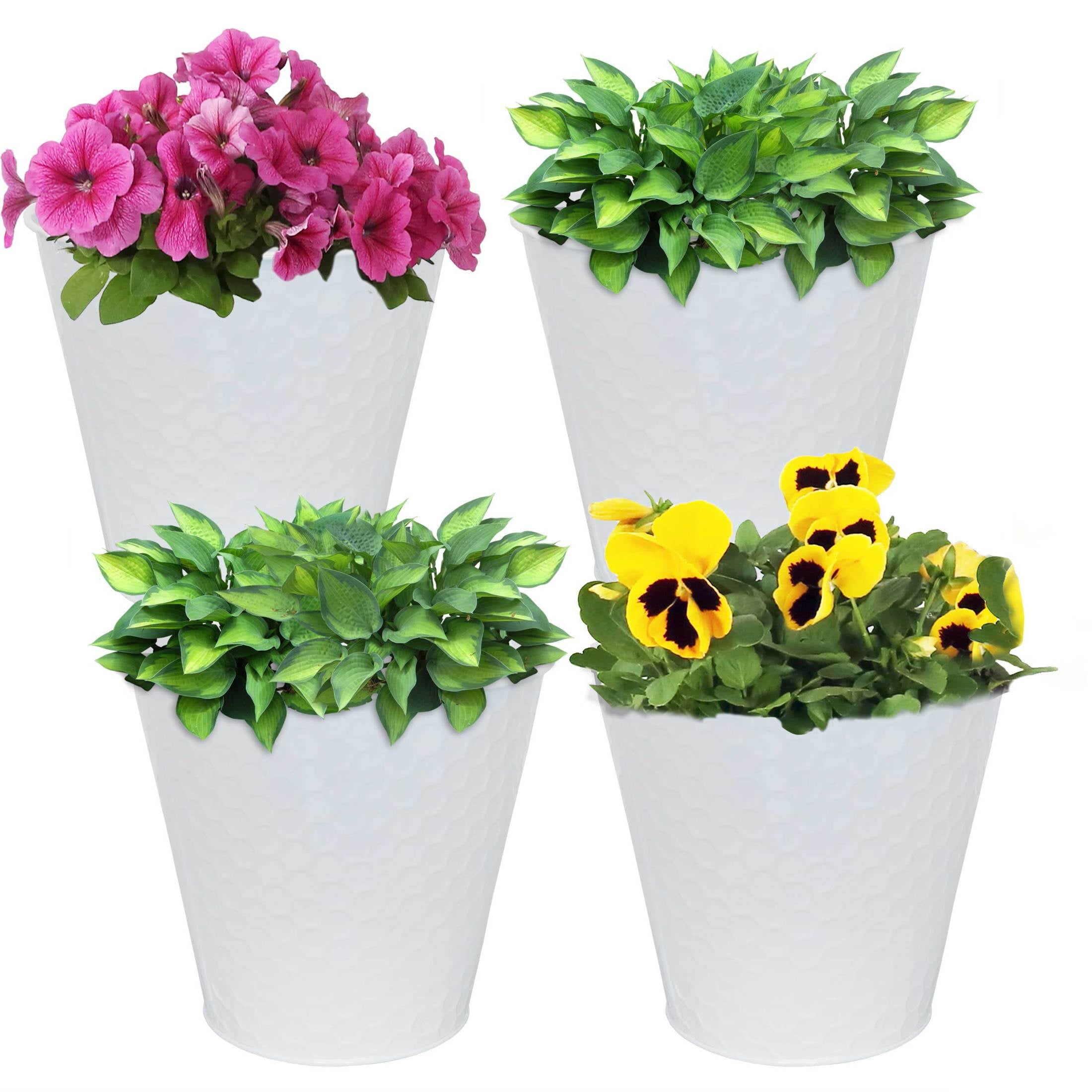 Sunnydaze 4.1-Gallon Round Galvanized Steel Buckets w/ Hexagon Pattern ...