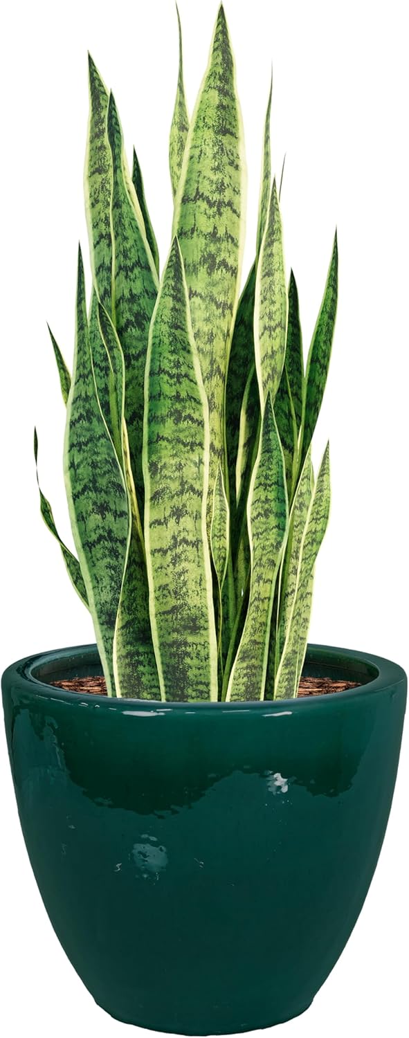 Sunnydaze Large Ceramic Plant Pot - Round Outdoor Glazed Ceramic ...
