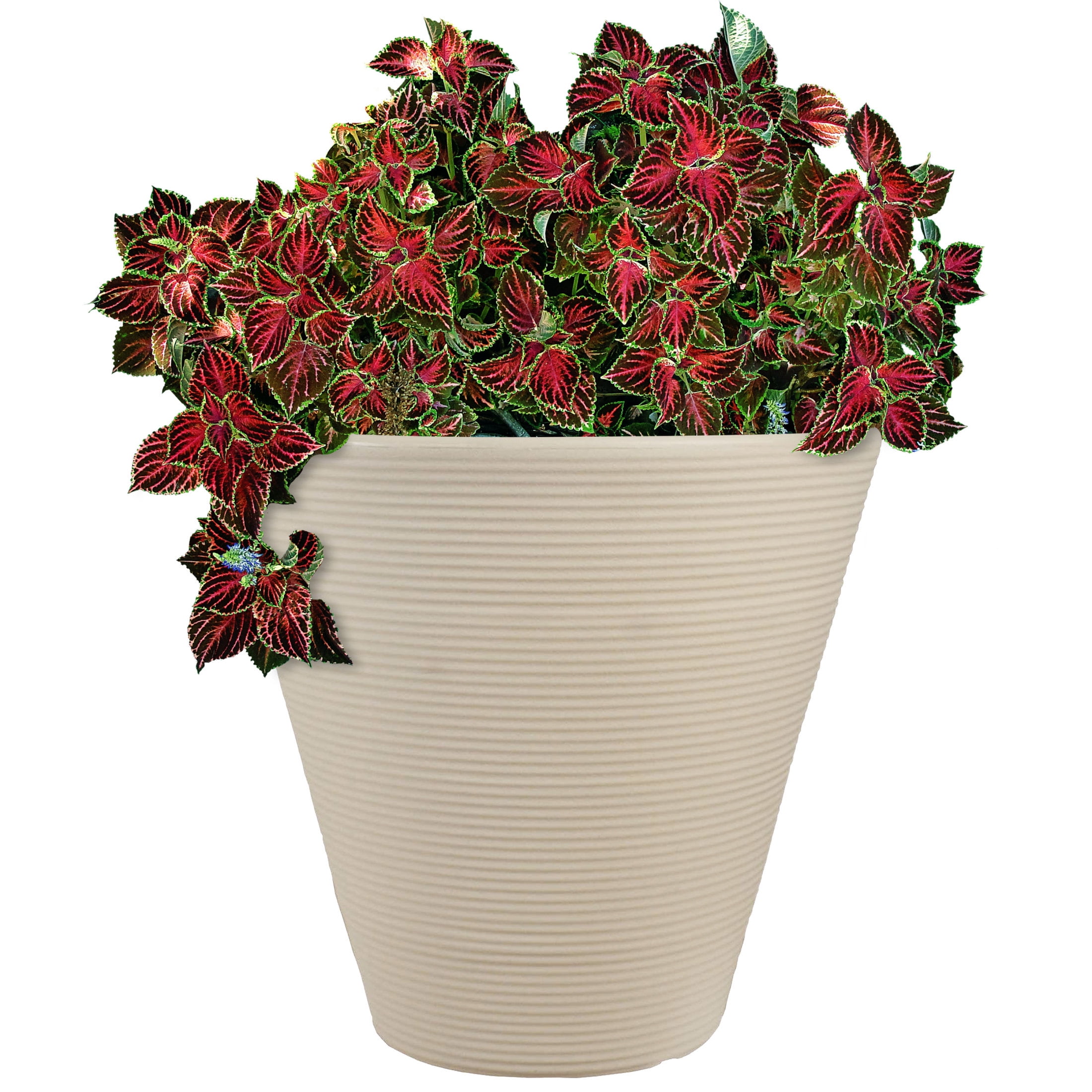 Sunnydaze Walter 15.5" x 15.5" x 14.75" Round Antique White Polyresin Outdoor Planter Pot ...