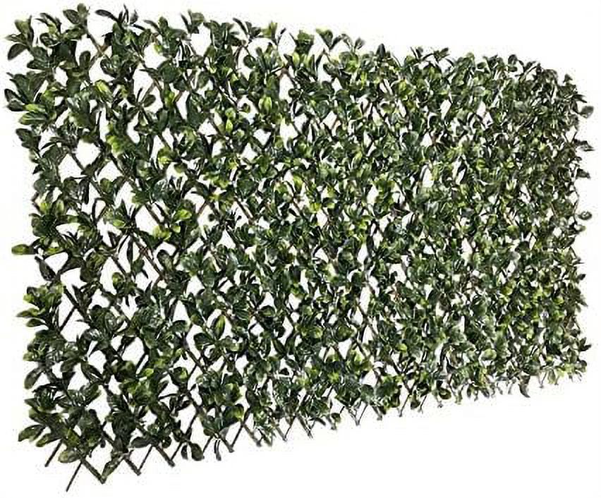 Sunrise 15"X48" Expandable Faux Ficus Leaf Privacy Fence Screen ...