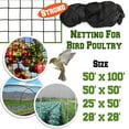 Sunrise 25'x50' Heavy Duty Bird Netting Fruit Tree Protective Net Pens ...