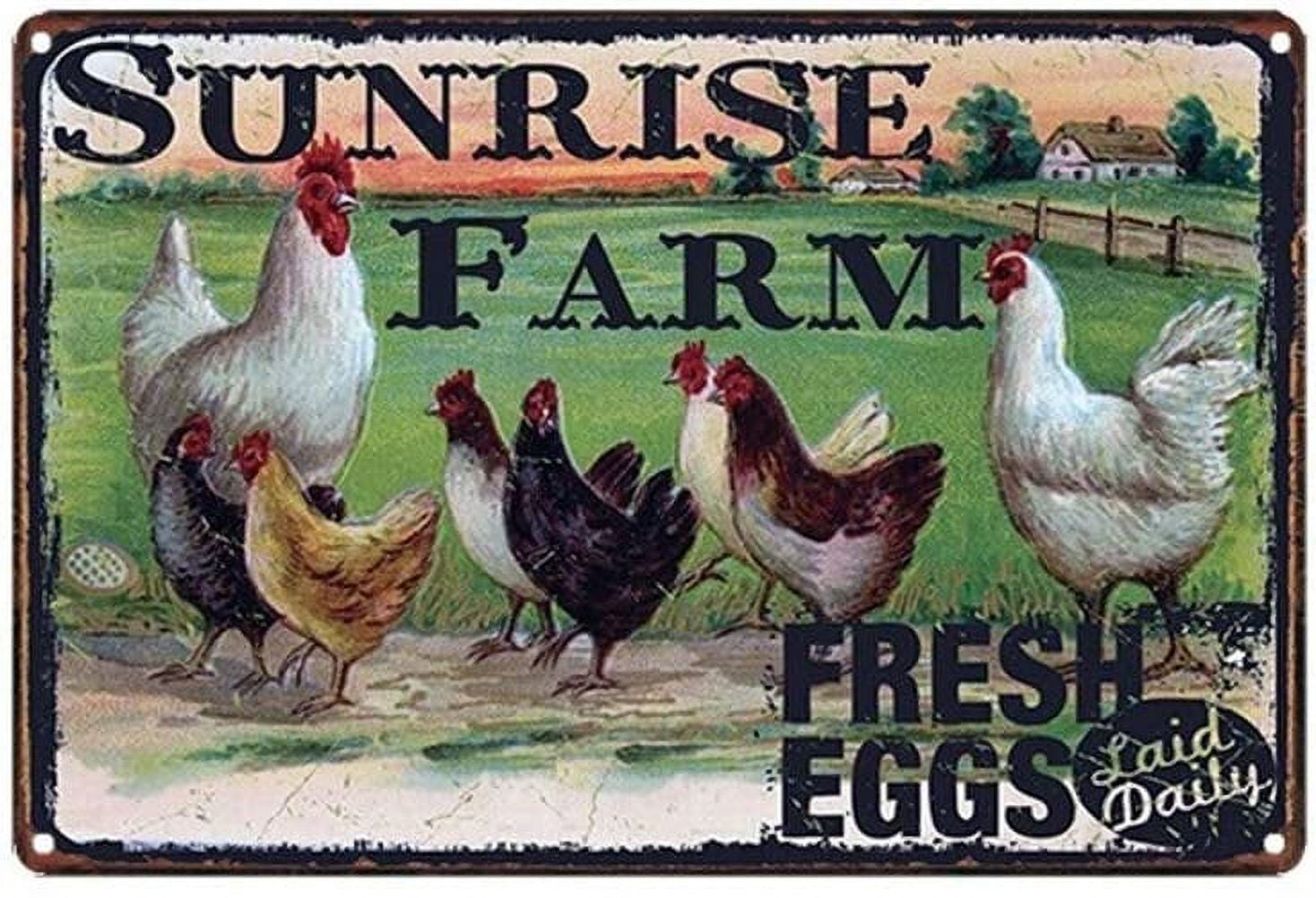 Sunrise Farm Fresh Eggs Laid Daily, Tin Sign for Yard Farm Poultry ...