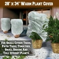 Sunrise Warm Worth Plant Cover and Plant Protecting Bag For Frost ...