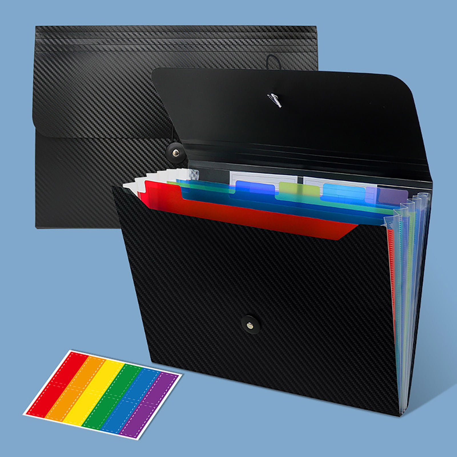 Sunsanly File Folder with Tags Multi-compartment Portable File Folder ...