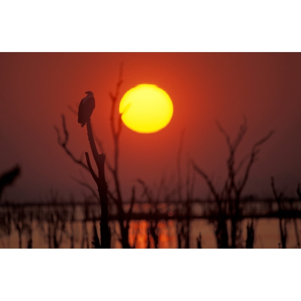 Sunset In Zimbabwe Poster Print - Walmart.com