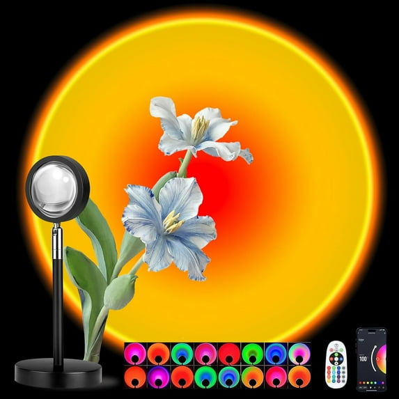 Sunset Lamp Projector Multi-Color Multi-Mode, Dimmable, Timing, Music ...