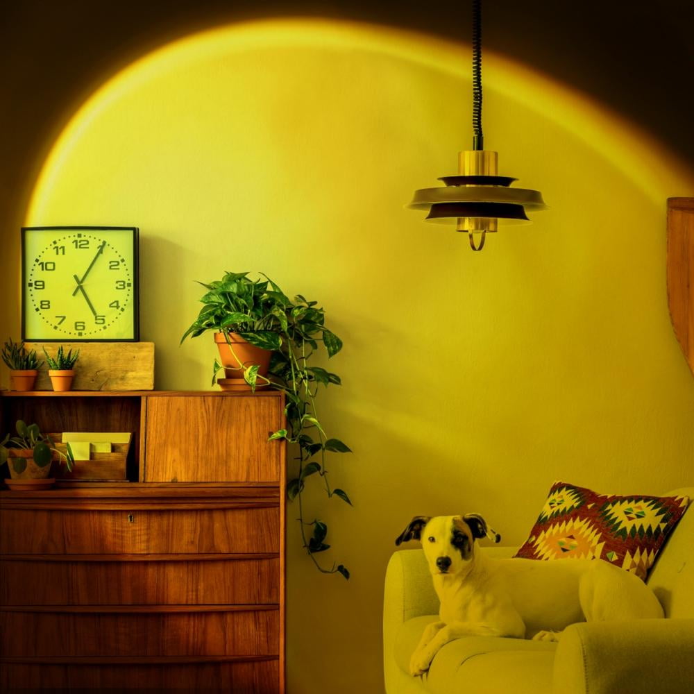 Sunset Light, 180 Degree Rotation USB Sunset Glow Lamp Visual Romantic ...