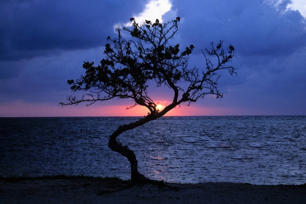 Sunset Over the Sea Blackbeards Caye Belize Photo Photograph Cool Wall ...