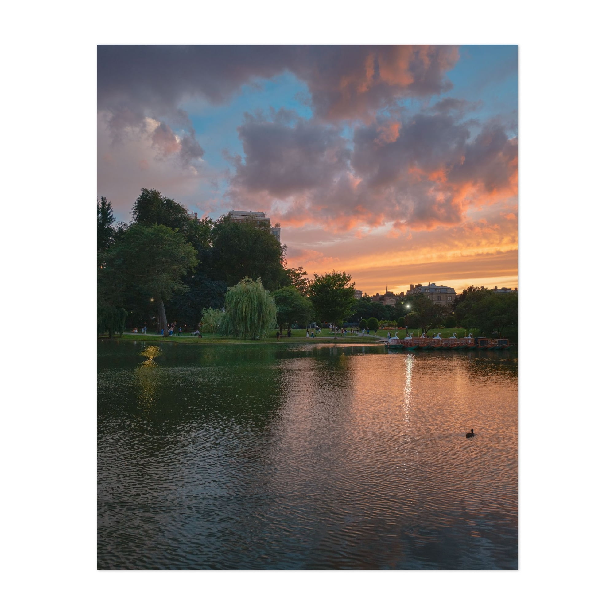 Sunset at the Public Garden, Boston 01 - Boston Massachusetts ...
